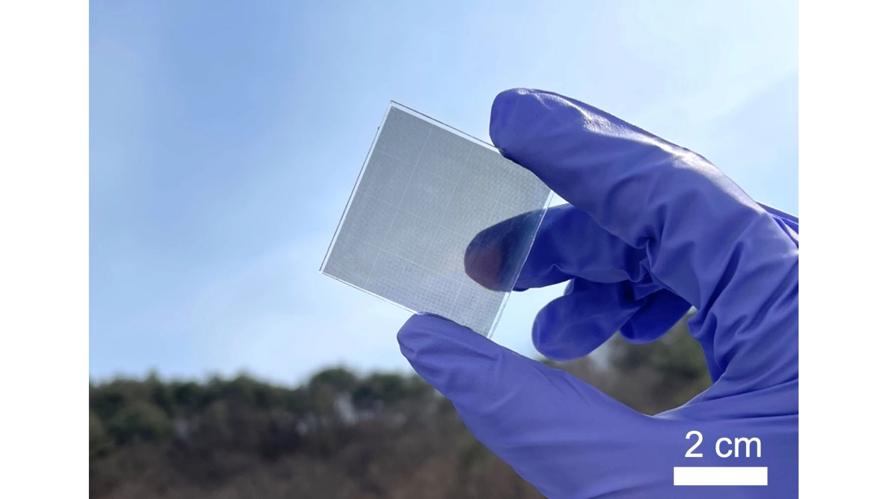 Transparente Silizium-Solarzellen mit Rückseitenkontakt und neutraler ...